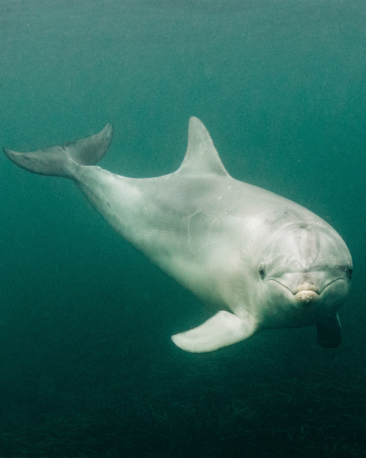 Baird Bay Experience – Australia In Style